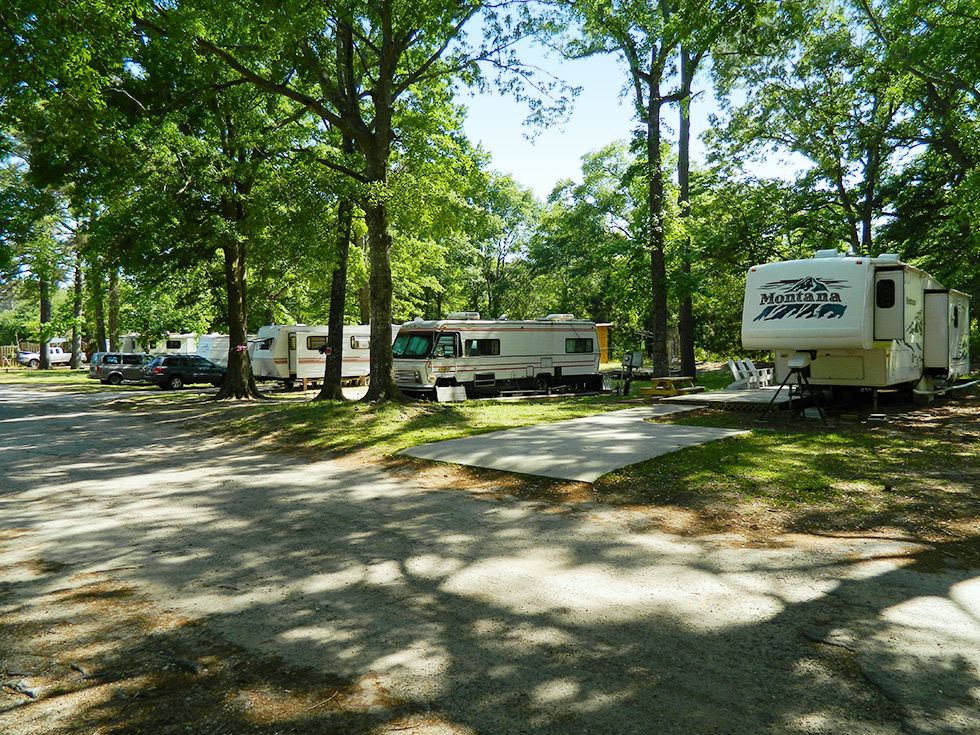 The Preserve at Kitty Hawk Woods – Outerbanks Camping