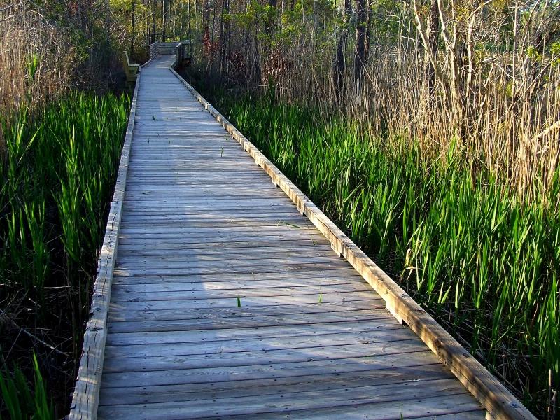 Sandy Run Park – The Preserve at Kitty Hawk Woods