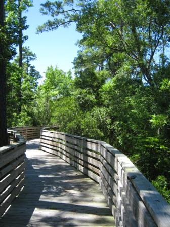 Sandy Run Park – The Preserve at Kitty Hawk Woods